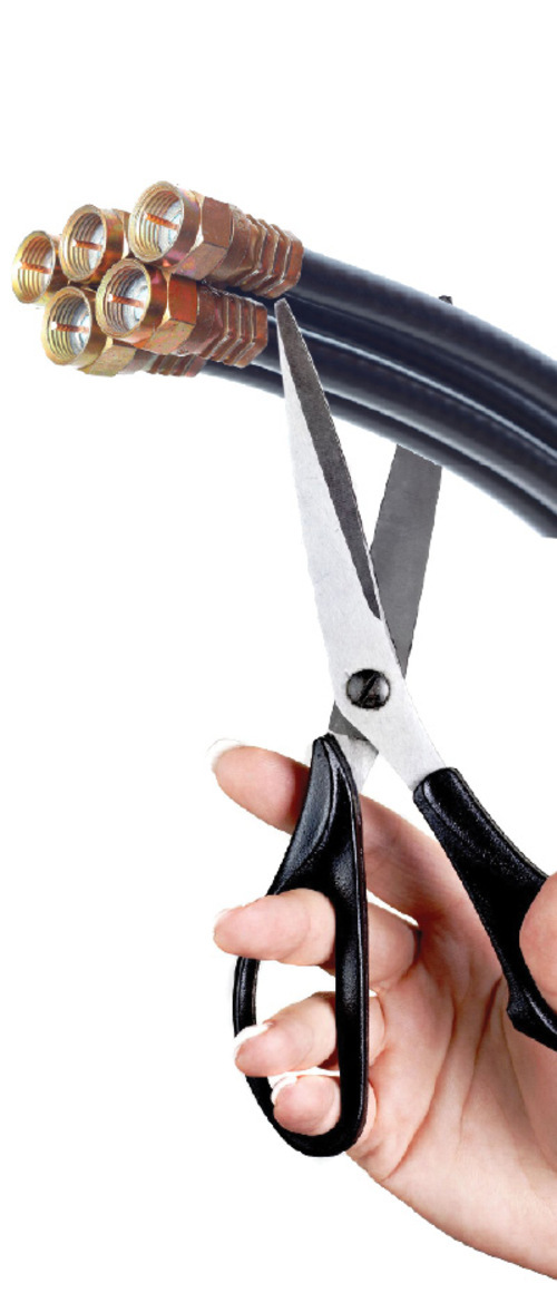 Time to cut the cable cord? Inexpensive ways to watch TV - The Salt ...