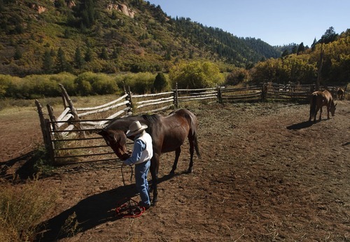 Dugout Ranch: a massive laboratory in the desert - The Salt Lake Tribune
