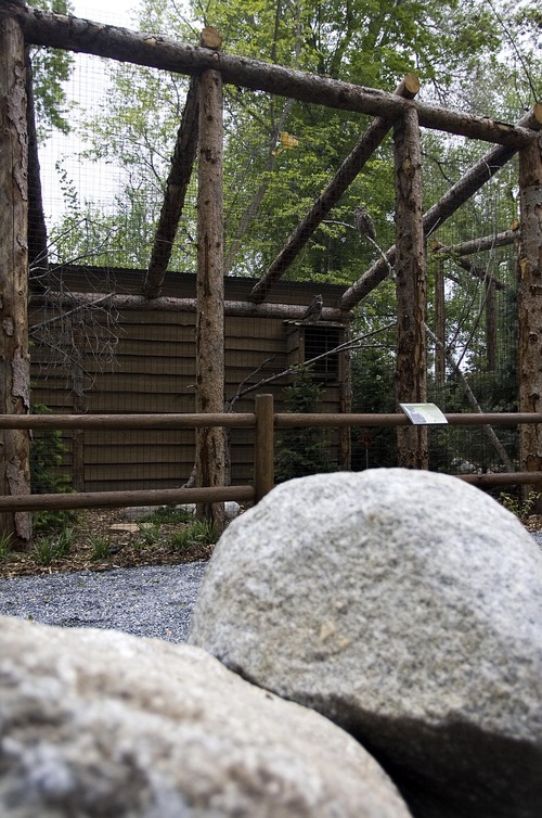 Aviary to open new owl exhibit - The Salt Lake Tribune