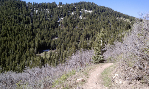 Hike of the week: Short Stack - The Salt Lake Tribune