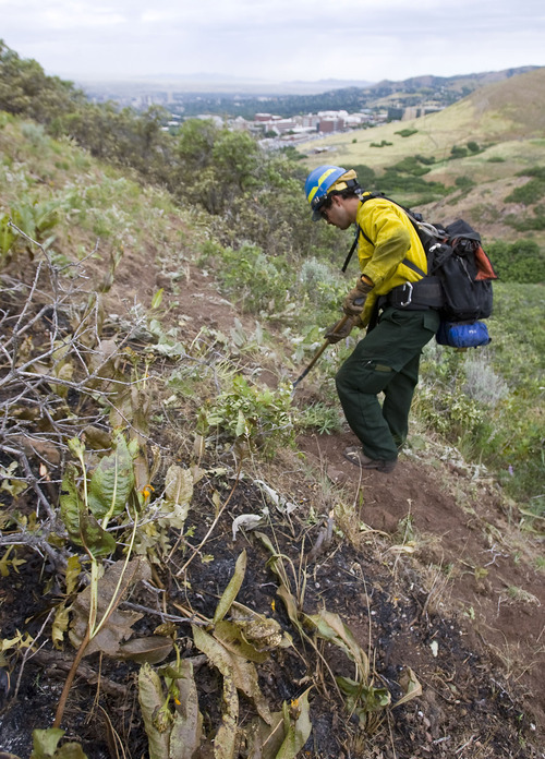 Fire crews rehab fire lines above Red Butte - The Salt Lake Tribune