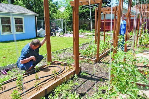 Murray greenhouse provides fun, learning for disabled adults - The Salt ...