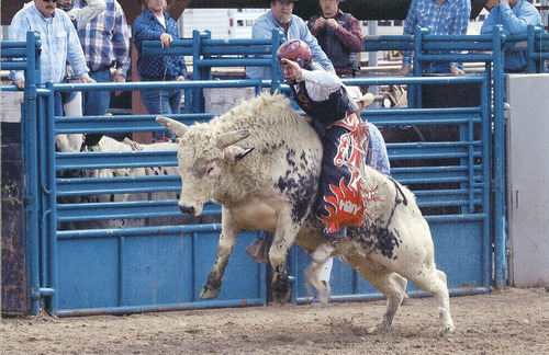 Plain City Bull rider returns to rodeo after arm-crushing injury - The ...