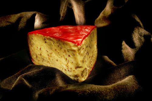 The Cheese Plate: Spotlight on a yellow cheese with spicy mustard ...