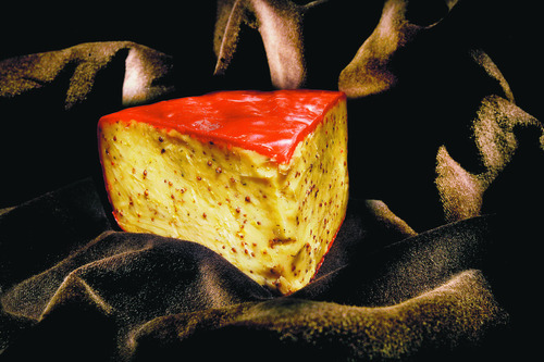 The Cheese Plate: Spotlight on a yellow cheese with spicy mustard ...