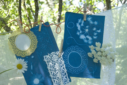 Everyday Organic: Sun prints evoke the essence of summer - The Salt ...
