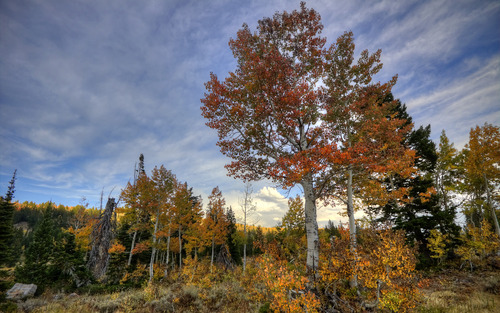 Fall color tips, northern Utah edition: Ogden to Logan Canyon - The ...