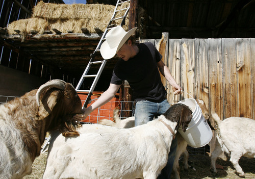African refugees dream of joining in on goat farms in Utah - The Salt ...
