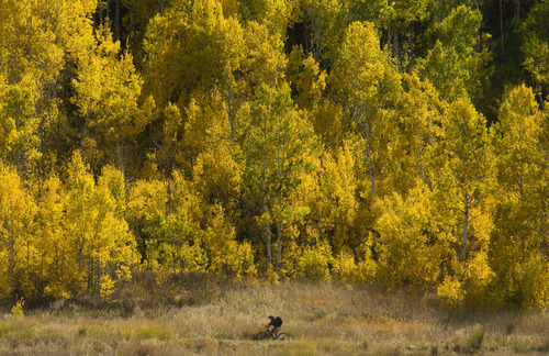 why-is-red-butte-garden-changing-colors-the-salt-lake-tribune