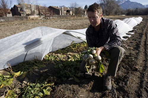 Utah farmers now providing local food year-round - The Salt Lake Tribune