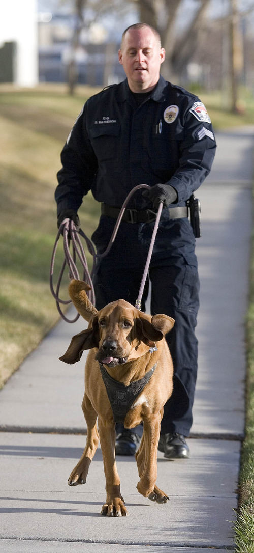 Canine nose-ability and athleticism aid police work - The Salt Lake Tribune
