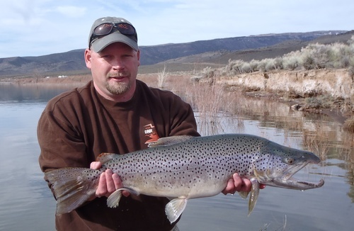 Otter Creek gill netting report - 11-pound brown trout caught and ...