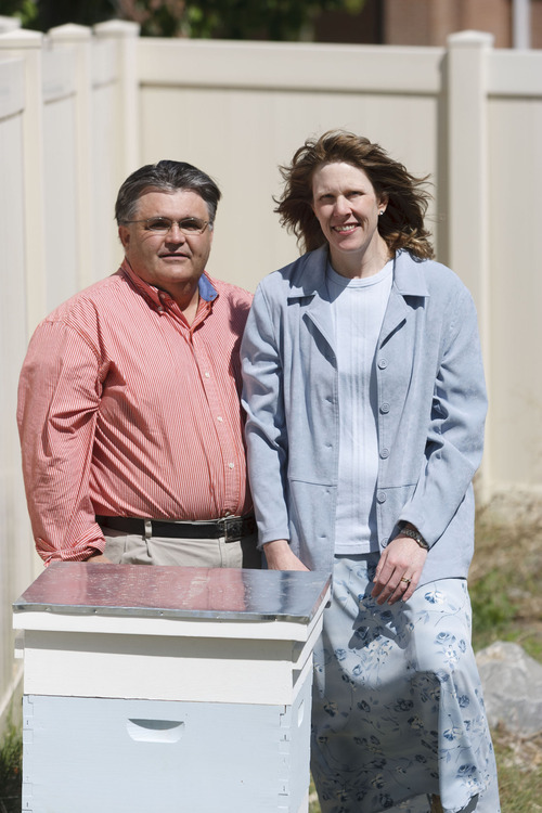 Saratoga Springs looking to bring bees back to neighborhoods - The Salt ...