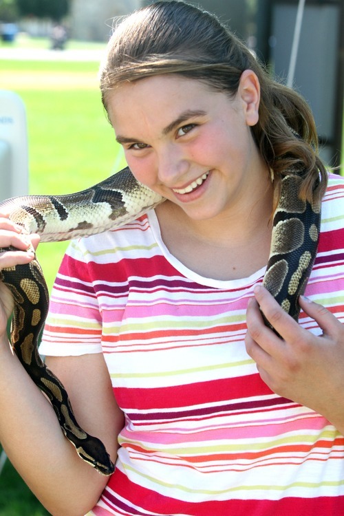 Utahns begin celebrating Pioneer Day - The Salt Lake Tribune