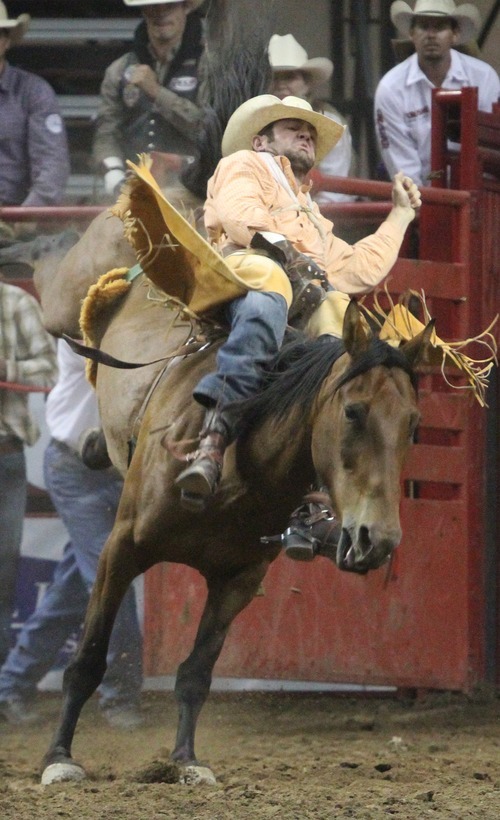 Days of '47 • Rodeo gig a labor of love for physician Dr. Pepper Murray ...