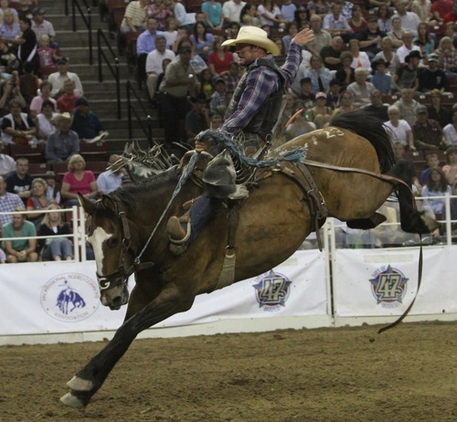 Days of '47 • Rodeo gig a labor of love for physician Dr. Pepper Murray ...