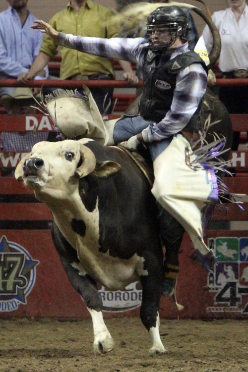 Days of '47 • Rodeo gig a labor of love for physician Dr. Pepper Murray ...