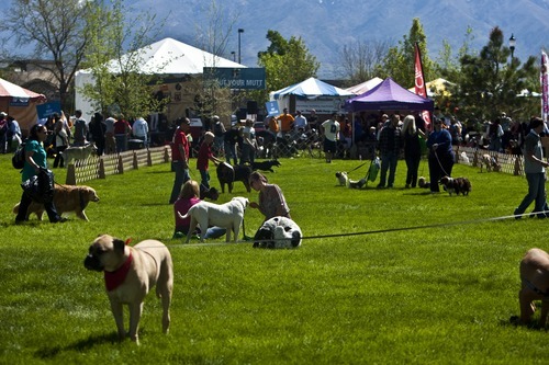 Weekend Express: Things to do in Utah this weekend - The Salt Lake Tribune