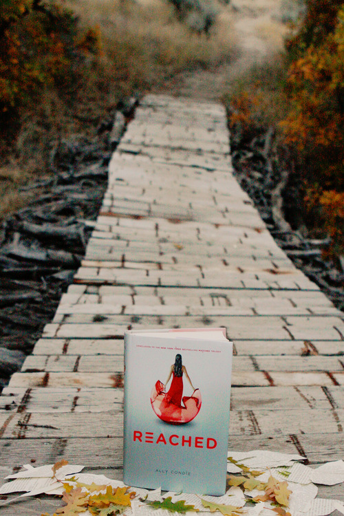 Three's company for Utah writer's 'Matched' trilogy - The Salt Lake Tribune