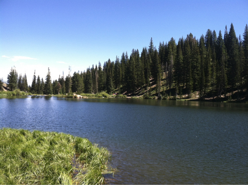 Utah Hike of the week: 10,420 Peak and Bloods Lake — Guardsman Pass ...