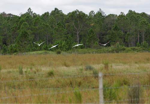 Development plans for Mormon cattle ranch stir controversy - The Salt ...