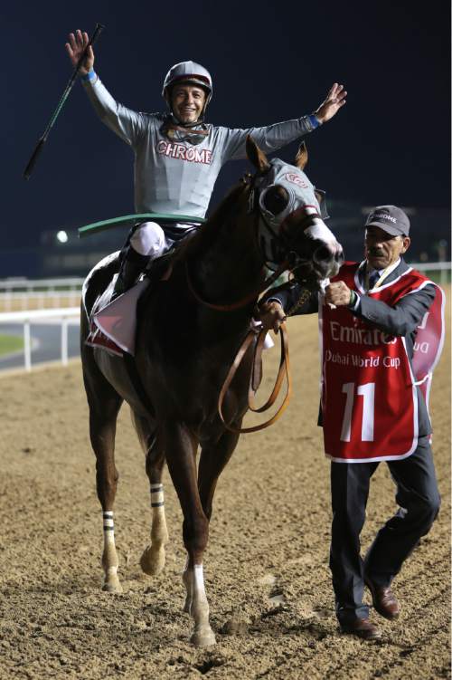 Horse racing: California Chrome wins Dubai World Cup by 5 lengths - The ...