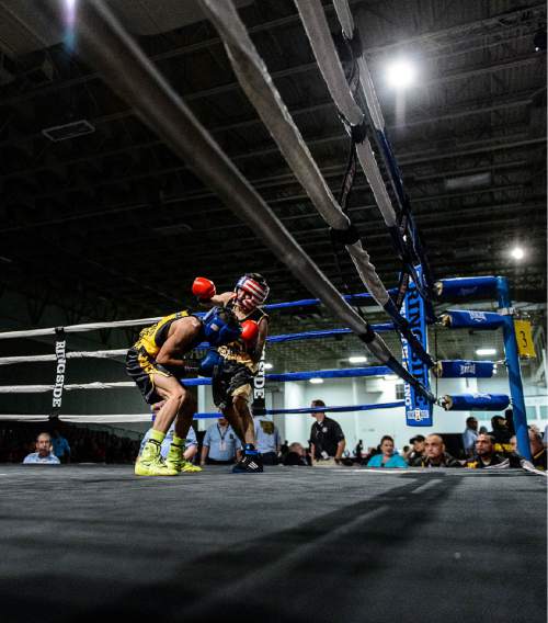 Golden Gloves: Utah's Diego Alvarez advances to quarterfinals - The ...