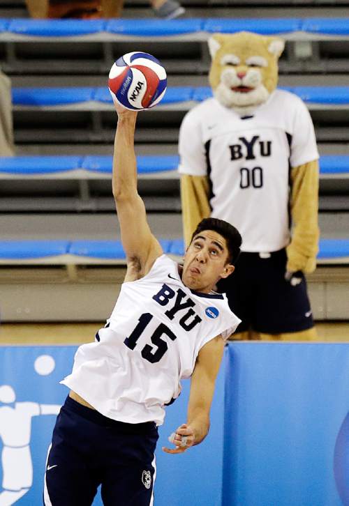 Taylor Sander Byu Volleyball Usa Volleyball Player