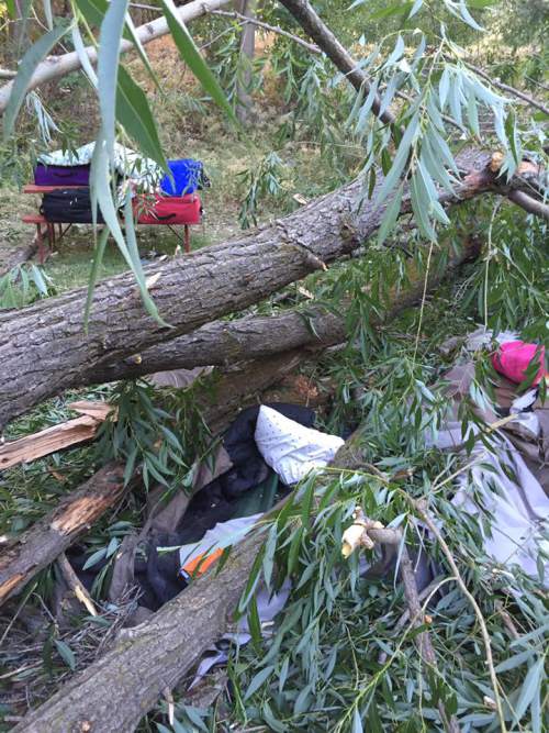 Two boys seriously hurt when tree falls on tent in Provo - The Salt ...