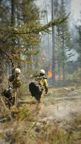 Crews hemming in Box Canyon Fire, other blazes being monitored - The ...