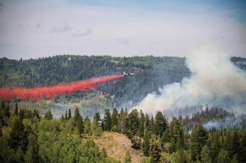 UDOT: Don't stop in Logan Canyon to watch wildfire - The Salt Lake Tribune