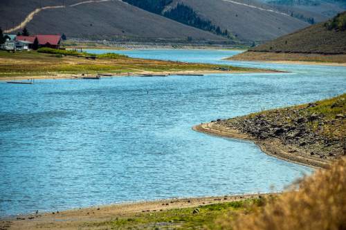 Scofield Reservoir reopens to boaters, anglers after toxic algal bloom ...