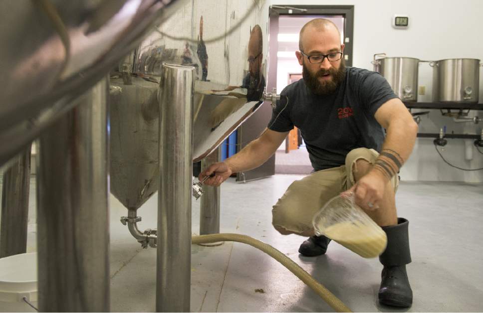 These 5 Utah beers are not to be missed this fall - The Salt Lake Tribune