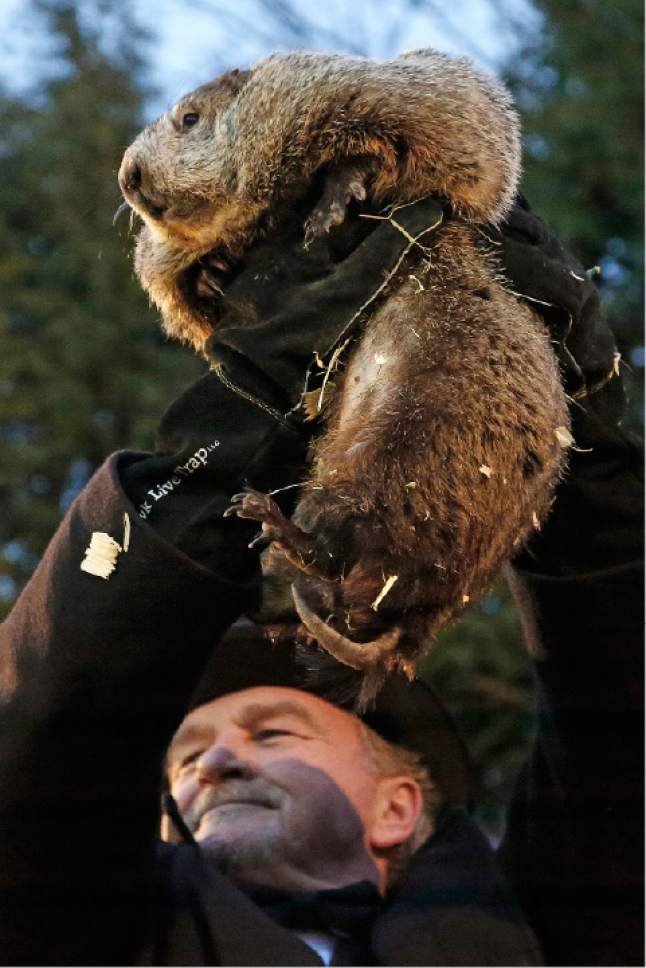 Pennsylvania groundhog's handlers: Phil predicts more winter - The Salt ...