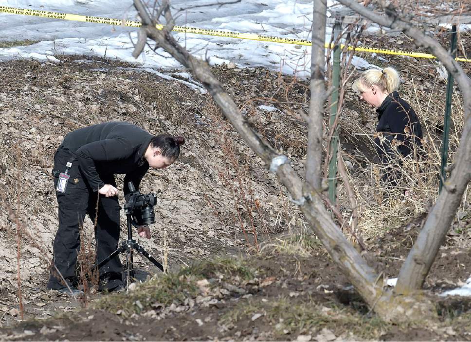 Juvenile court judge orders 16-year-old boy to stand trial for ...