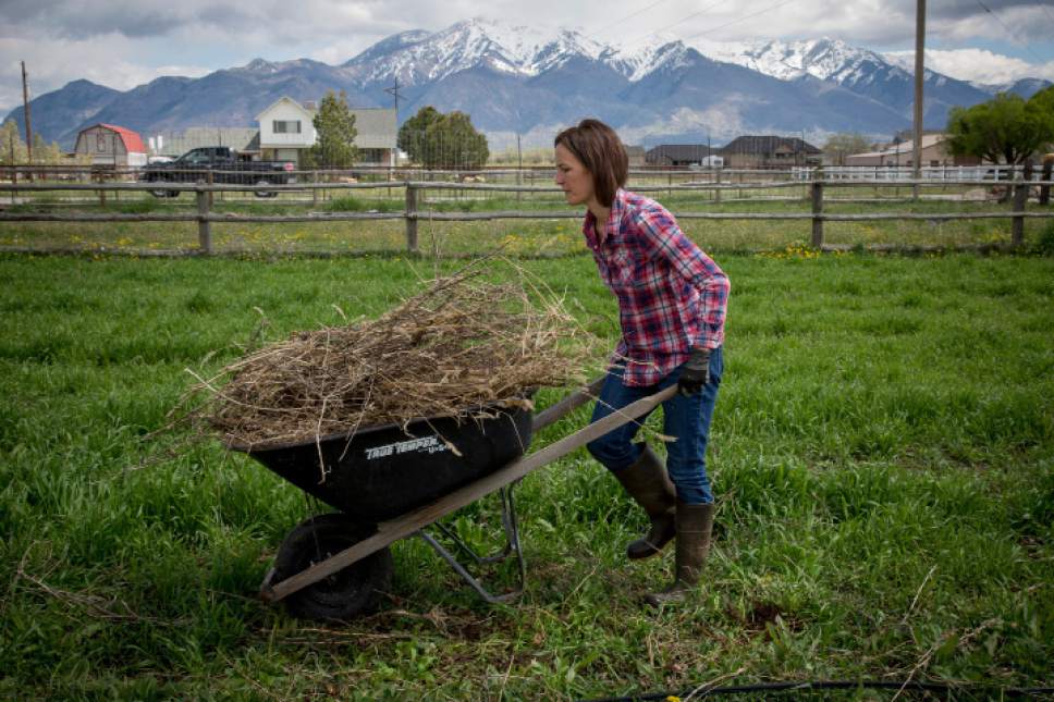 Utah food, produce entrepreneurs depend on farmers markets - The Salt ...