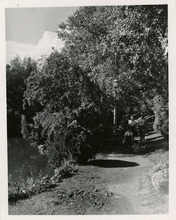 A Look Back: Memory Grove park - The Salt Lake Tribune