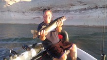 Lake Powell Fishing Report - Stripers are slurping, water is rising ...